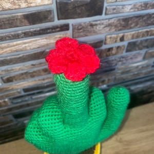 Middle Finger Cactus Crochet Pattern: Funny Amigurumi (PDF) - Etsy