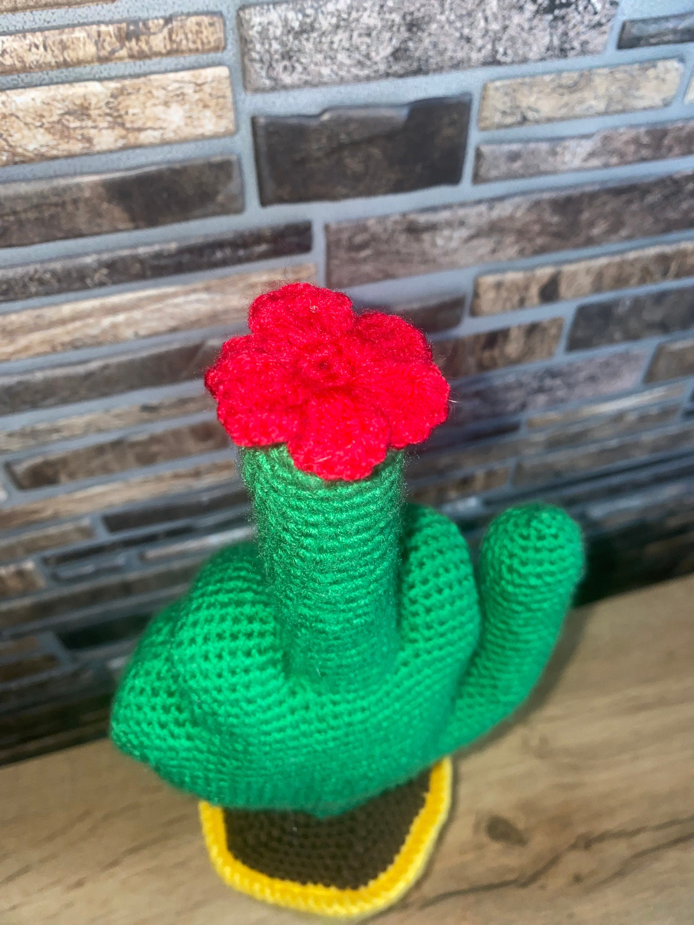Middle Finger Cactus Crochet Pattern: Funny Amigurumi (PDF) - Etsy