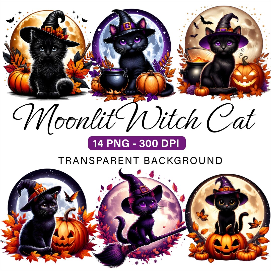 Witch Cat Halloween Clipart 14 PNG, Moonlit Black Cat With Pumpkins ...