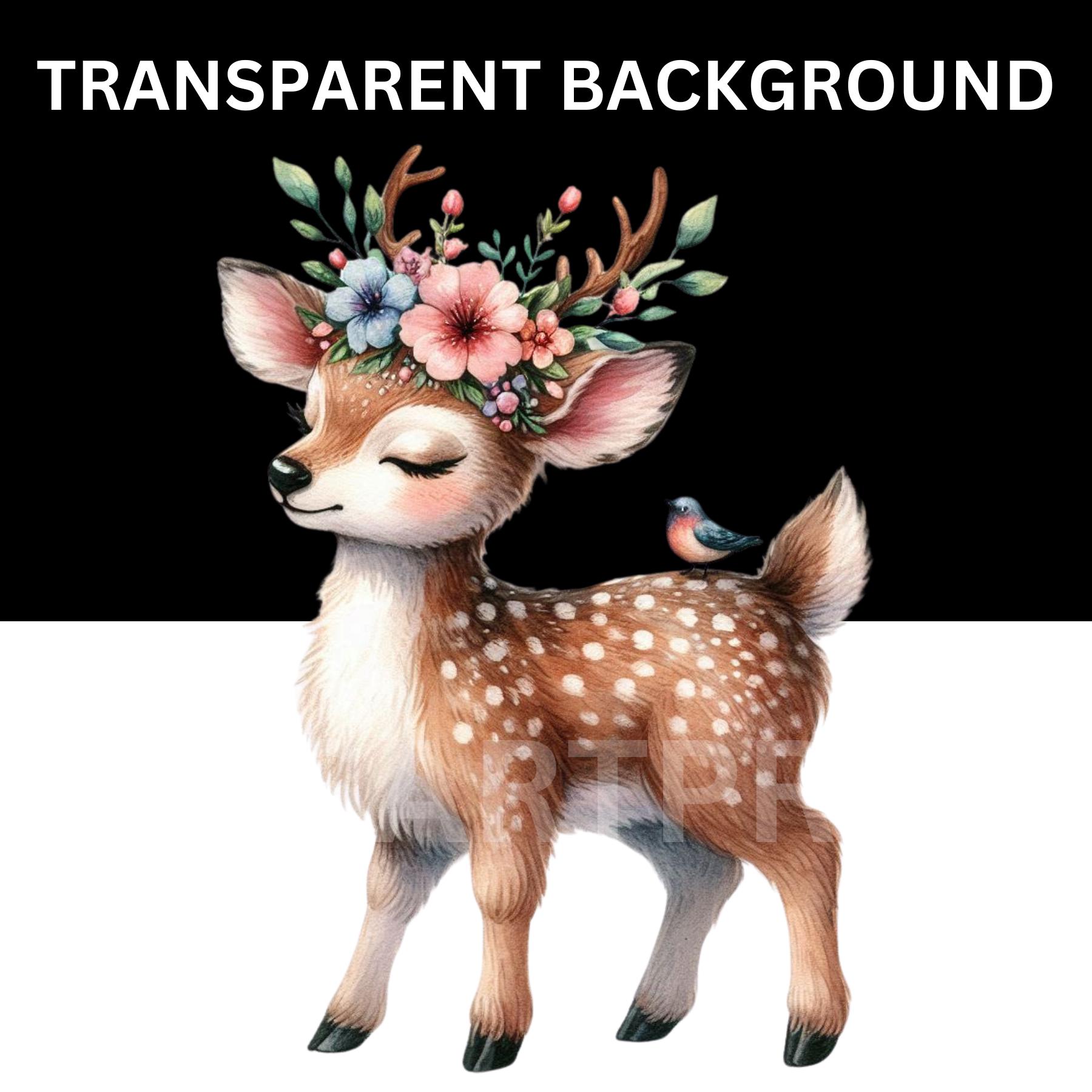 41 Spring Animals Clipart PNG, Woodland Cute Baby Animal, Easter Flower ...