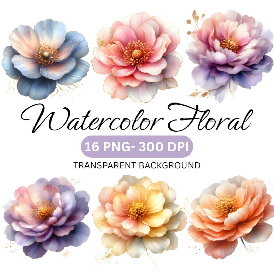Watercolor Floral Clipart Bundle Abstract, Set of 16 PNG, Blush and ...