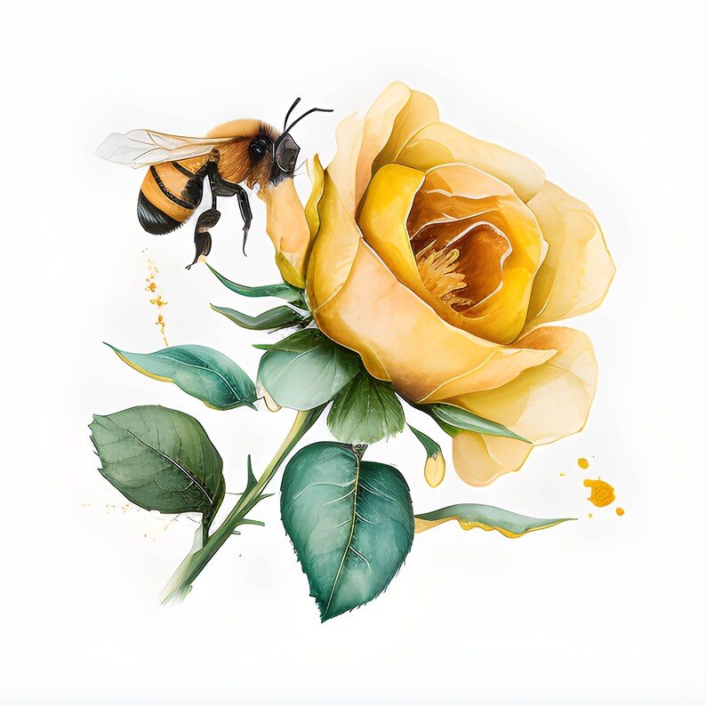 Yellow Rose & Honey Bee Watercolor Clipart Watercolor Floral - Etsy