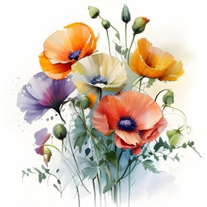 Watercolor Poppy Clipart, Watercolor Floral Set, Poppy Clipart, Orange ...
