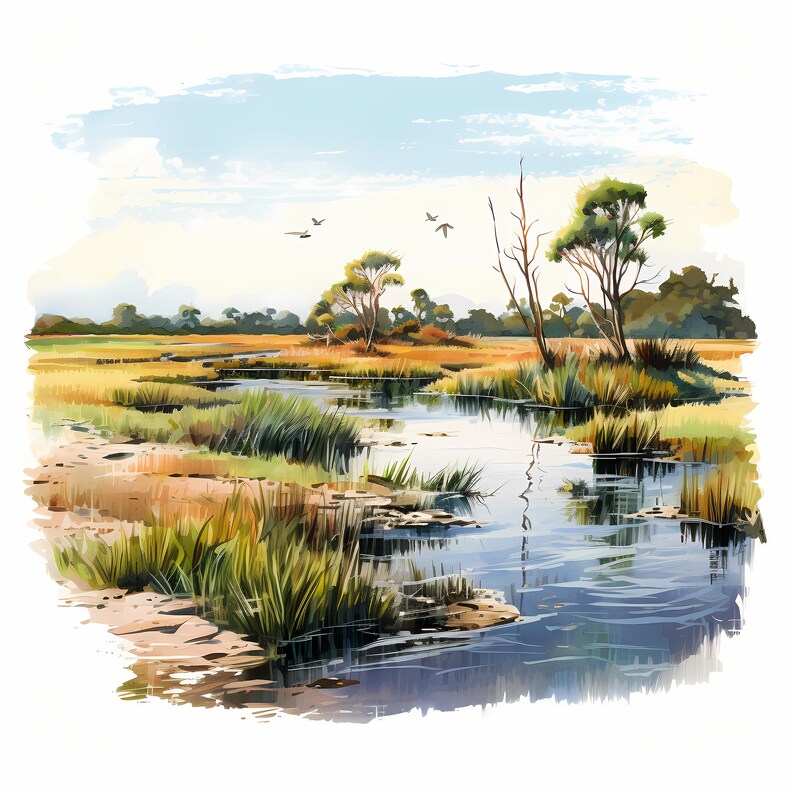 Everglades National Park Watercolor Sketch Art Bundle, Everglades ...