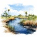 Everglades National Park Watercolor Sketch Art Bundle, Everglades ...