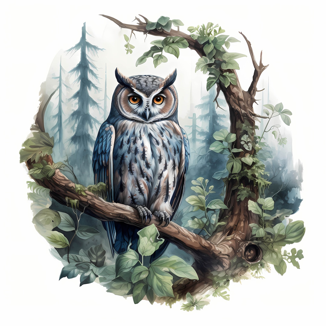 Owl Watercolor Clipart Bundle, Cute Colorful Owl Set, Nursery Decor Owl ...