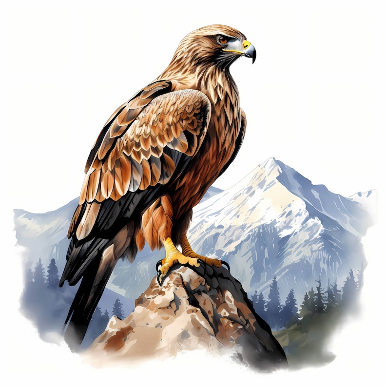 Hawk Watercolor Clipart Bundle, Cute Colorful Hawk Set, Nursery Decor ...