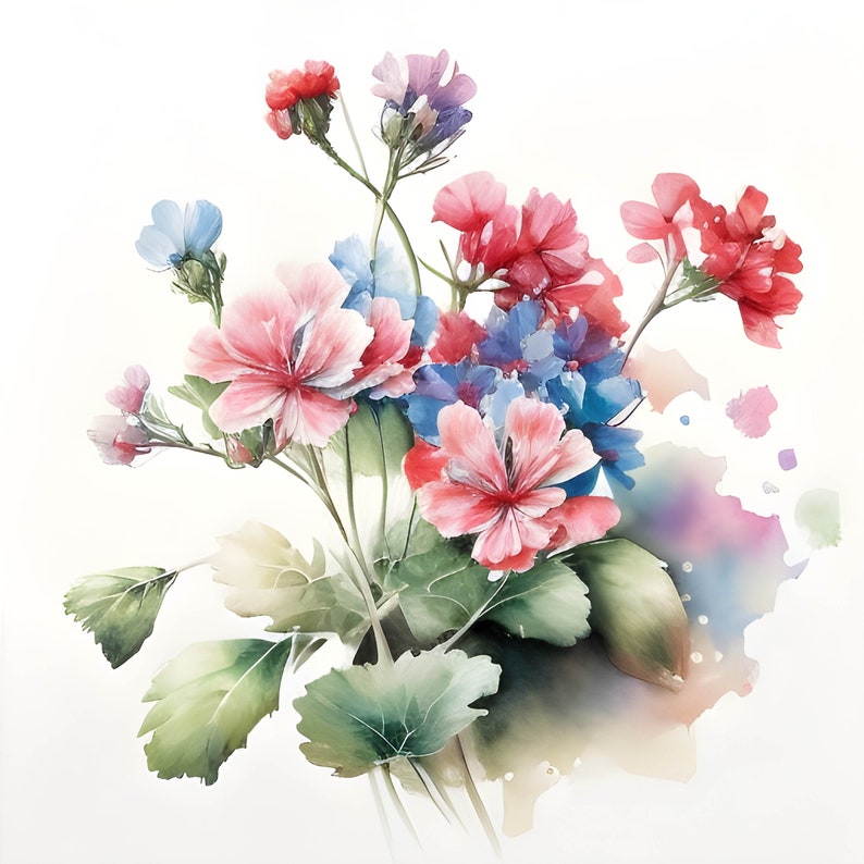Geranium Watercolor Clipart Watercolor Floral Clipart - Etsy