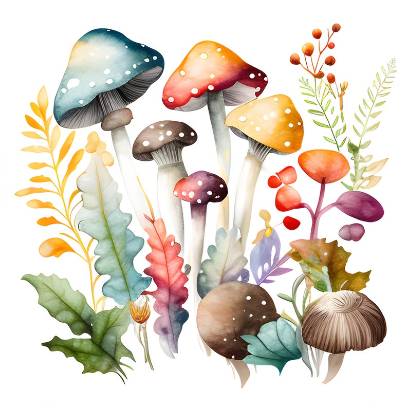 Watercolor Mushrooms Clipart, Cute Forest Nature Toadstool Clipart ...