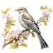 Mockingbird Watercolor Clipart Bundle, Colorful Northern Mockingbird ...