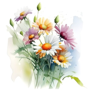 Daisy Watercolor Clipart, Watercolor Floral Clipart, Daisy Clipart ...