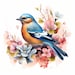 Chaffinch Watercolor Clipart Bundle, Colorful Chaffinch Set, Nursery ...