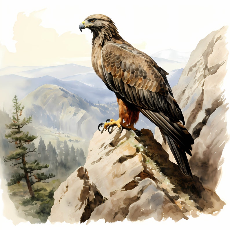 Buzzard Watercolor Clipart Bundle, Cute Colorful Buzzard Set, Nursery ...