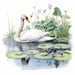 Swan Watercolor Clipart Bundle, Cute Colorful Swan Set, Nursery Decor ...