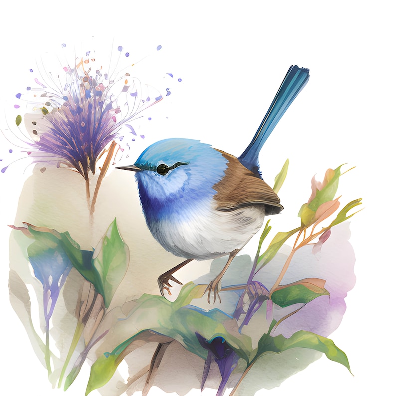 Watercolor Fairy-wren Bird Clipart, Fairy-wren Bird Set, Cute Colorful ...