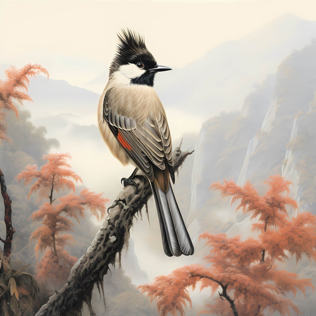 Whiskered Bulbul Watercolor Clipart Bundle, Colorful Whiskered Bulbul ...