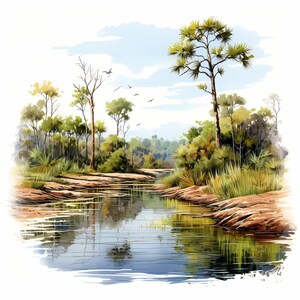 Everglades National Park Watercolor Sketch Art Bundle, Everglades ...
