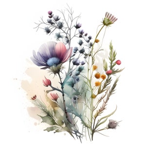 Watercolor Meadow Flowers Clipart, Spring Wildflowers Bundle, Instant ...