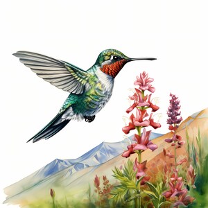 Hummingbird Watercolor Clipart Bundle, Cute Colorful Hummingbird Set ...