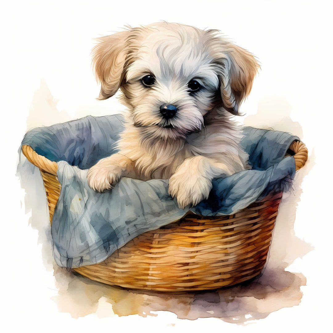 Watercolor Cute Puppy Clipart, Funny Dog Clipart, Sublimation Design ...