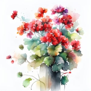 Geranium Watercolor Clipart, Watercolor Floral Clipart, Geranium Bundle ...