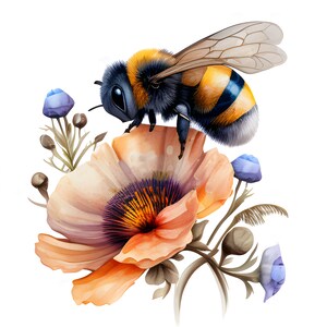 Watercolor Honey Bee Clipart, Spring Garden Bee Clipart, Wild Flowers ...