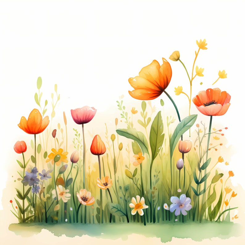 Spring Flowers Watercolor Clipart, Watercolor Floral Daisy Bundle ...