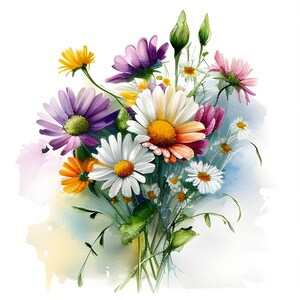 Daisy Watercolor Clipart, Watercolor Floral Clipart, Daisy Clipart ...