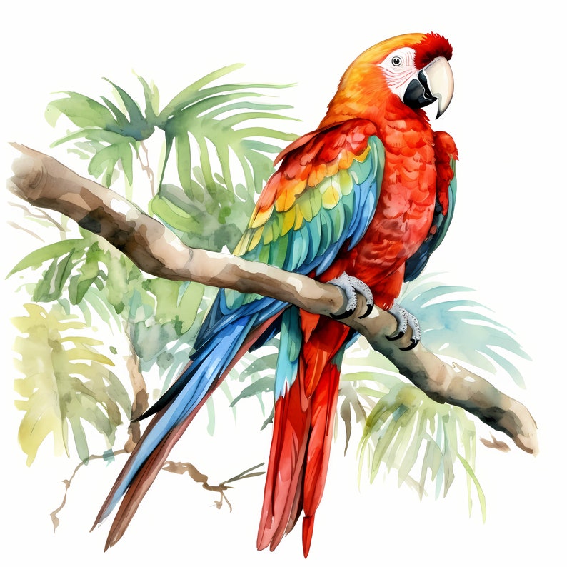 Parrot Watercolor Clipart Bundle, Cute Colorful Parrot Set, Nursery ...