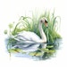 Swan Watercolor Clipart Bundle, Cute Colorful Swan Set, Nursery Decor ...