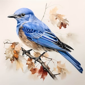 Bluebird Watercolor Clipart Bundle, Cute Colorful Bluebird Set, Nursery ...