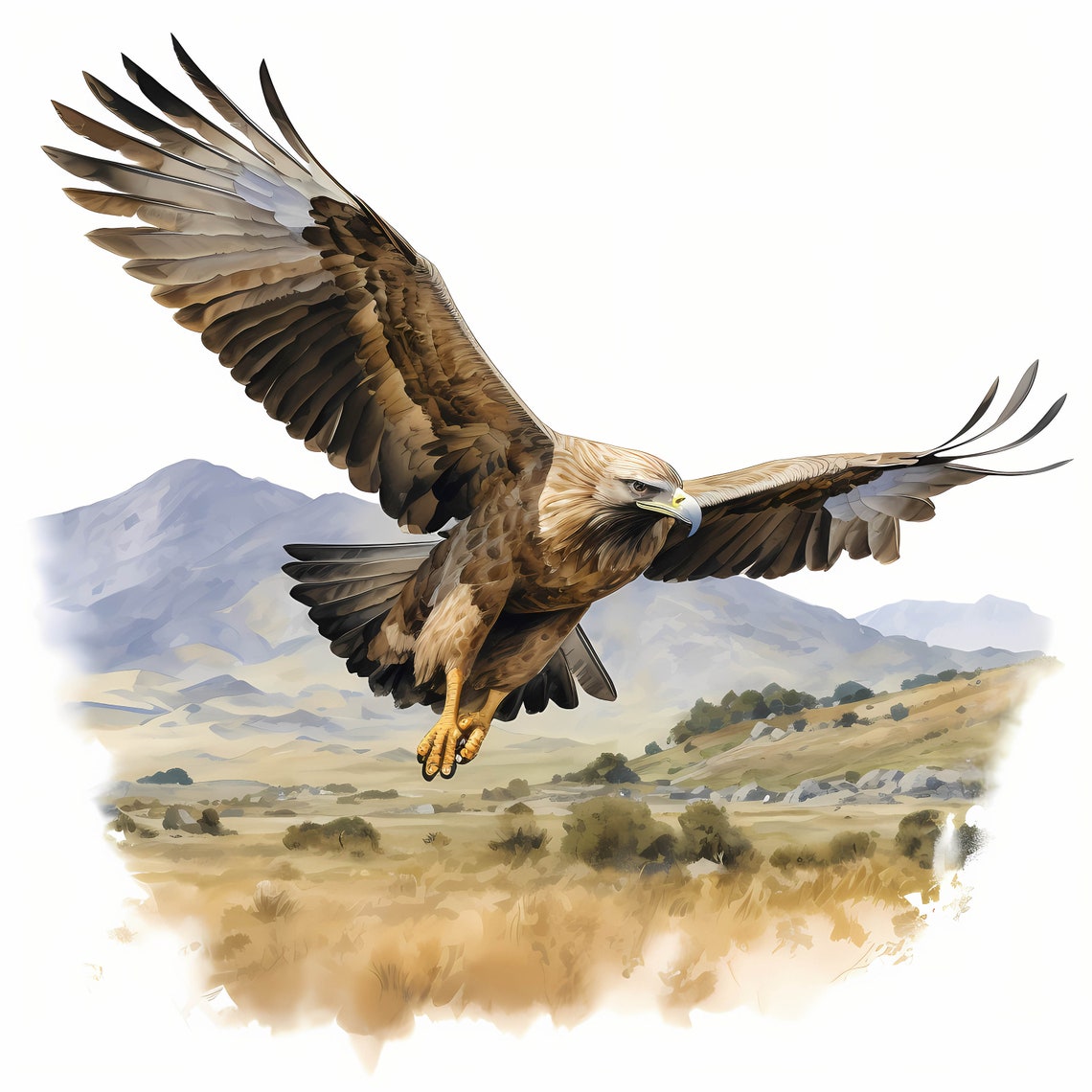 Buzzard Watercolor Clipart Bundle Cute Colorful Buzzard Set - Etsy