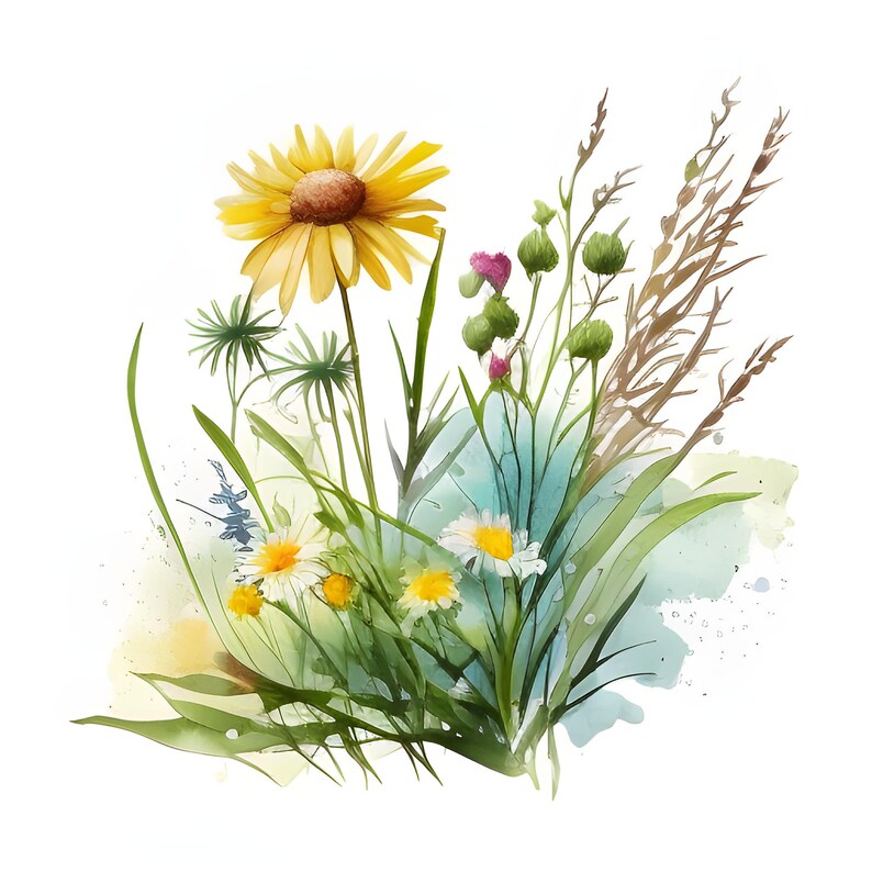 Watercolor Daisy Flowers Clipart, Floral Daisy Clipart, Daisies Bouquet ...