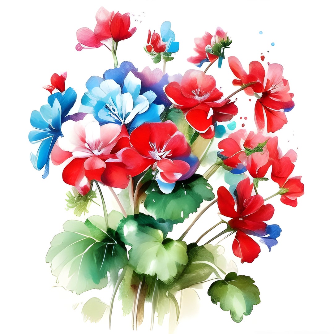Geranium Watercolor Clipart, Watercolor Floral Clipart, Geranium Bundle ...