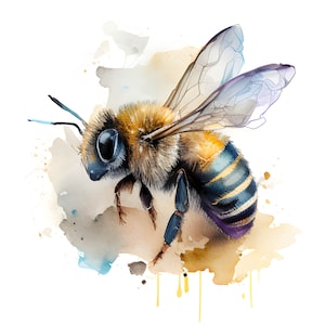 Watercolor Bumblebee Clipart, Cute Garden Honey Bee Clipart, Nursery ...