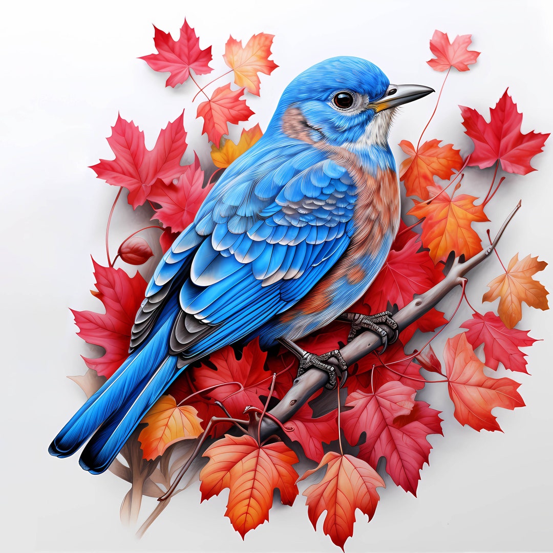 Bluebird Watercolor Clipart Bundle, Cute Colorful Bluebird Set, Nursery ...