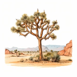 Joshua Tree National Park Watercolor Sketch Art Bundle, Joshua Tree ...