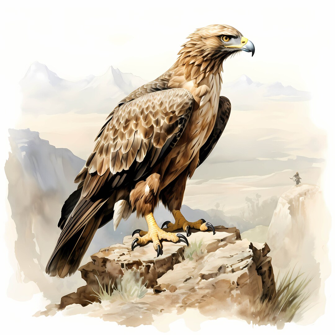 Buzzard Watercolor Clipart Bundle, Cute Colorful Buzzard Set, Nursery ...