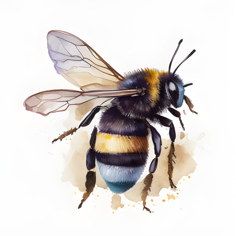 Watercolor Bumblebee Clipart, Cute Garden Honey Bee Clipart, Nursery ...