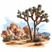 Joshua Tree National Park Watercolor Sketch Art Bundle, Joshua Tree ...