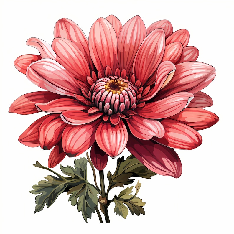 Colorful Daisy Watercolor Clipart, Floral Daisy Clipart, Colorful ...