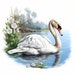 Swan Watercolor Clipart Bundle, Cute Colorful Swan Set, Nursery Decor ...