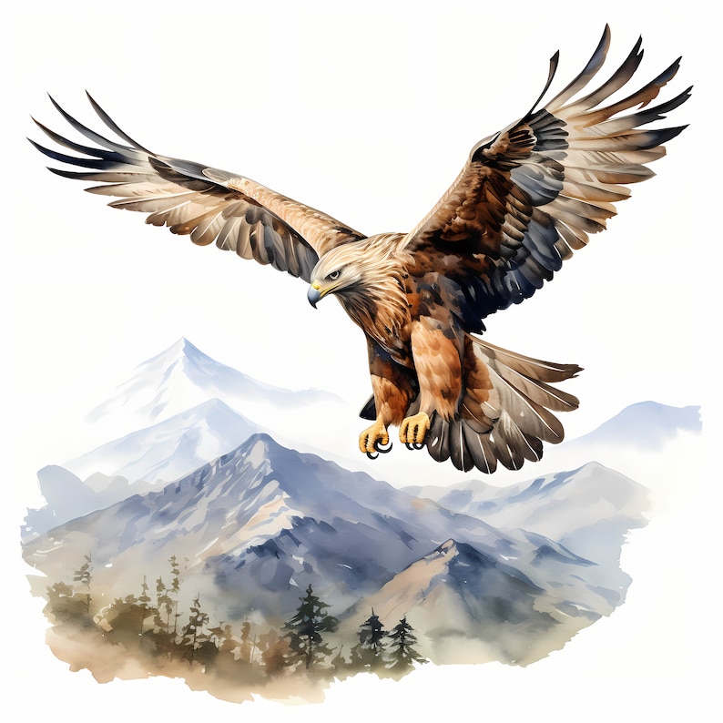 Hawk Watercolor Clipart Bundle, Cute Colorful Hawk Set, Nursery Decor ...