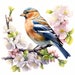 Chaffinch Watercolor Clipart Bundle, Colorful Chaffinch Set, Nursery ...