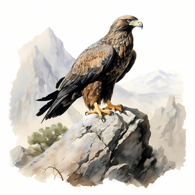 Buzzard Watercolor Clipart Bundle, Cute Colorful Buzzard Set, Nursery ...