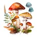 Watercolor Mushrooms Clipart, Cute Forest Nature Toadstool Clipart ...