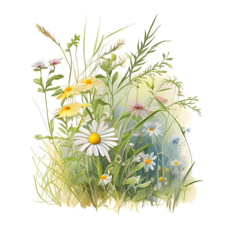 Watercolor Daisy Flowers Clipart Floral Daisy Clipart - Etsy