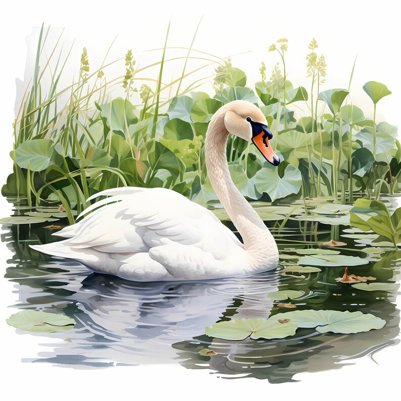 Swan Watercolor Clipart Bundle, Cute Colorful Swan Set, Nursery Decor ...