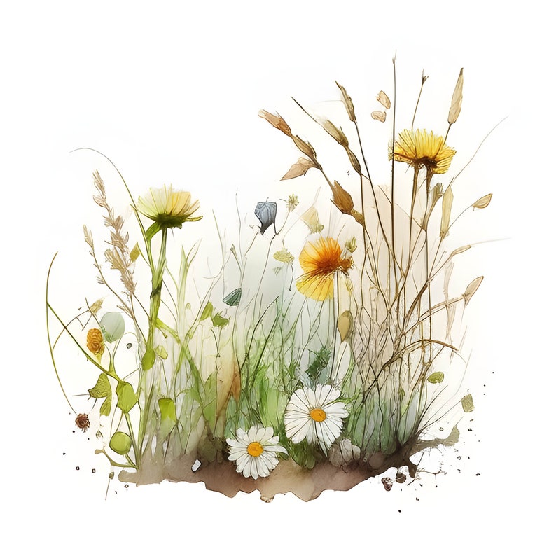 Watercolor Daisy Flowers Clipart Floral Daisy Clipart - Etsy