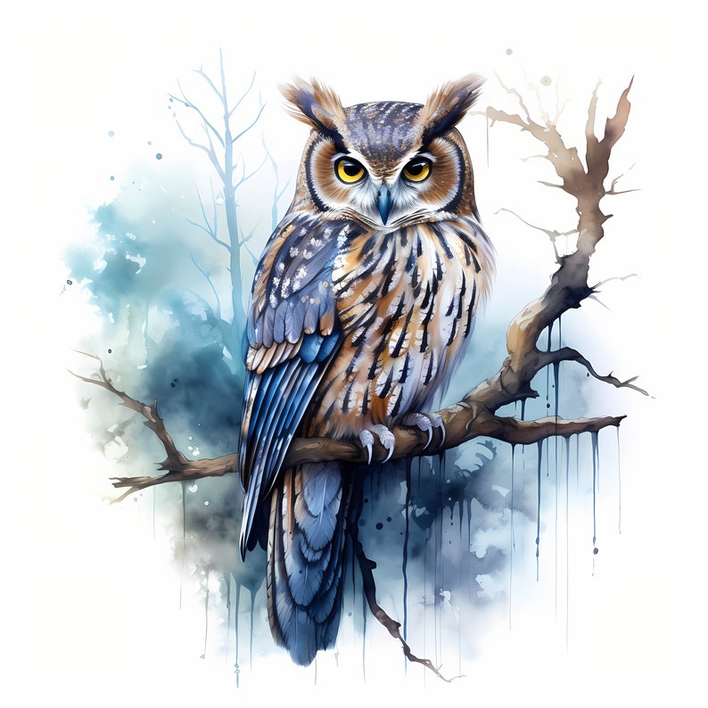 Owl Watercolor Clipart Bundle Cute Colorful Owl Set Nursery - Etsy